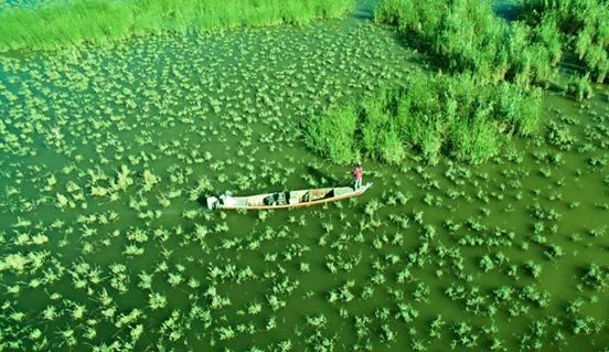 أهوار العراق على قائمة يونسكو للتراث العالمي.. تعرف إليها