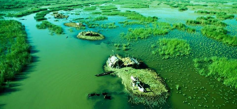 أهوار العراق على قائمة يونسكو للتراث العالمي.. تعرف إليها