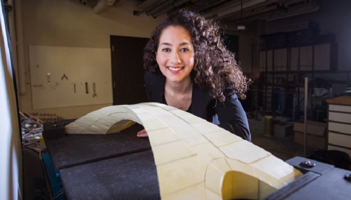 باحثون يكشفون عبقرية جسر صممه دافنشي للبناء بدون أسمنت