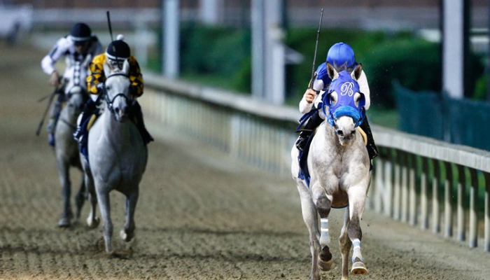 "تكساس هولد" بطلا لكأس رئيس الإمارات للخيول العربية الأصيلة في أمريكا