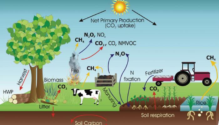 هل يحل "عالم بلا لحوم" أزمة المناخ؟ دراسة دولية تجيب