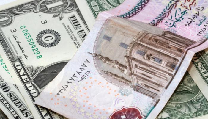 الجنيه المصري يواصل السقوط أمام الدولار ويفقد 8 قروش دفعة وحدة