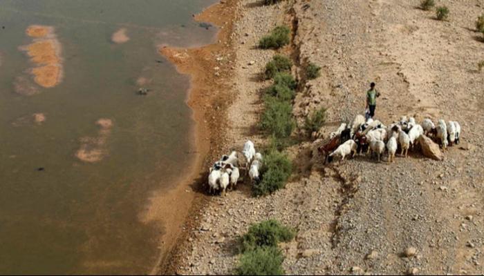 الجفاف يتوحش في العراق.. بحيرة حمرين ضحية جديدة