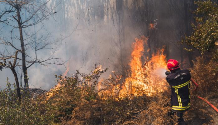 Vidéo..Sécheresse inquiétante : le feu ravage 1000 hectares dans les Pyrénées-Orientales