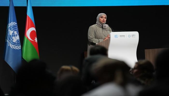 COP29.. التزام إماراتي بالعمل الجماعي من أجل المناخ