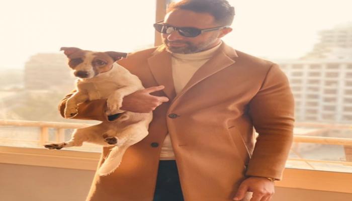 عريس ياسمين رئيس.. من هو أحمد عبدالعزيز؟