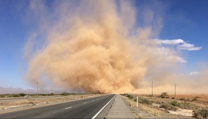 يوم مكافحة العواصف الرملية 2024.. دعوة لمواجهة تحوّل النهار إلى ليل دامس