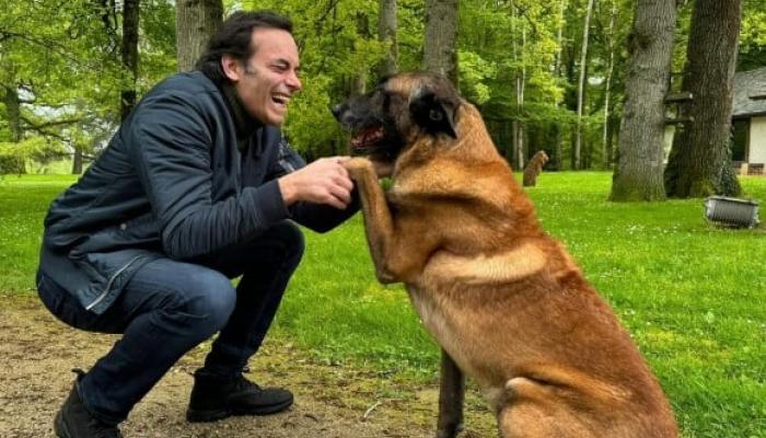 Loubo : Le destin du chien d'Alain Delon