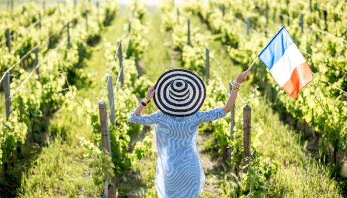 Vidéo. Malgré la récolte catastrophique dans le vignoble nantais, le ...