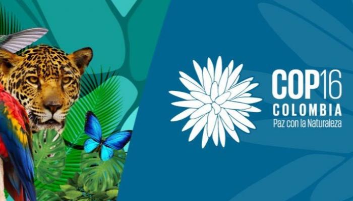 «COP16» في روما.. جولة جديدة من مفاوضات التنوع البيولوجي